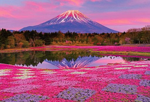 インスタなどで話題の富士の風景を組んで、お部屋の素敵なインテリアに。 わずか26x38cmの小さい面積の中で楽しめる、組み応え十分で高品質な1000ピースジグソーパズルです 組み立てる必要がありますか?:要