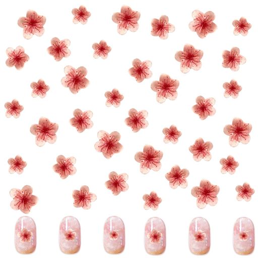 【花ネイルパーツ】可愛い桜のネイルパーツです。立体的な桜の花はほんとに綺麗で、ネイルのワンポイントにぴったりです。 【素材】樹脂素材で作られたネイルパーツはとても軽くて付け心地がいい。色あせにくく、耐久性があります。一粒だけでネイルを可愛く...
