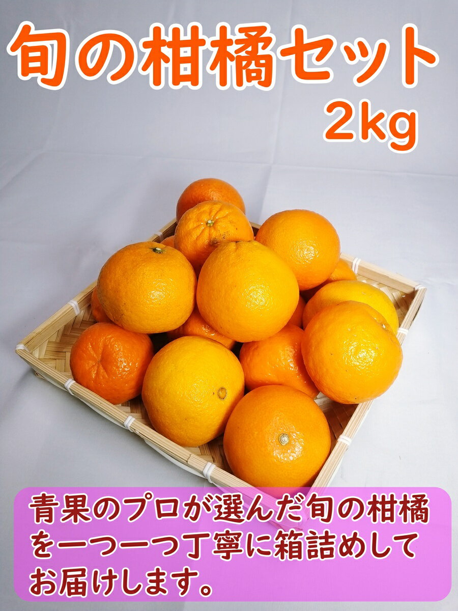 旬の柑橘セット　2kg 旬の柑橘を厳選してお届けいたします。 8