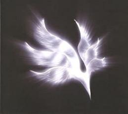 &nbsp;JAN&nbsp;4988061862453&nbsp;品　番&nbsp;TFCC86245&nbsp;出　演&nbsp;BUMP OF CHICKEN&nbsp;制作年、時間&nbsp;2007年&nbsp;77分&nbsp;...
