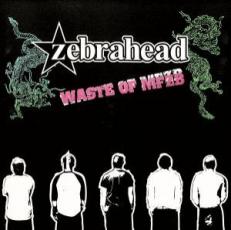 &nbsp;JAN&nbsp;4547366016093&nbsp;品　番&nbsp;SICP609&nbsp;出　演&nbsp;Zebrahead(ゼブラヘッド)&nbsp;制作年、時間&nbsp;2004年&nbsp;40分&nbsp;...