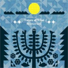&nbsp;JAN&nbsp;4562384325040&nbsp;品　番&nbsp;FNNY11&nbsp;出　演&nbsp;Future Of What(フューチャー・オブ・ワット)&nbsp;制作年、時間&nbsp;2013年&nbs...