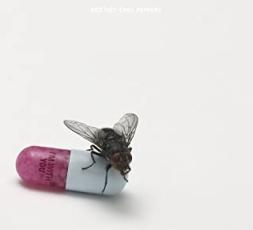 &nbsp;JAN&nbsp;4943674109685&nbsp;品　番&nbsp;WPCR14182&nbsp;出　演&nbsp;Red Hot Chili Peppers(レッド・ホット・チリ・ペッパーズ)&nbsp;制作年、時間&n...