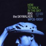 &nbsp;JAN&nbsp;4943674019359&nbsp;品　番&nbsp;WPC610097&nbsp;出　演&nbsp;RYO the SKYWALKER&nbsp;制作年、時間&nbsp;2000年&nbsp;46分&nbs...