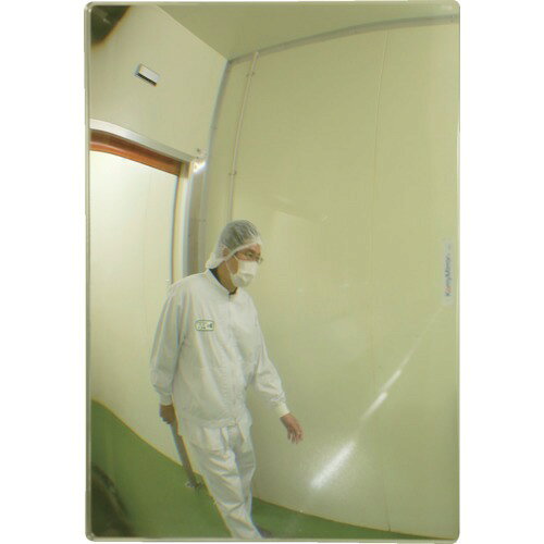 【商品仕様】 幅：(約)230mm 奥行：(約)3.9mm 高さ：(約)330mm 厚さ：(約)3.9mm ミラーの厚さ：(約)4.1mm 重量：(約)340g 像大きさ(曲面R)：400R相当 取付方法：強力両面テープ（裏面に貼付済み） ...