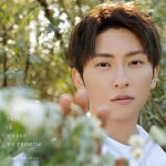 SHINJIRO ATAE (from AAA)　CD 【THIS IS WHERE WE PROMISE】 2021/8/11発売 ○AAAの活動休止とともに、2021年をもって自身のアーティスト活動の休止発表を表明した與真司郎。活動休止...