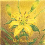 Dragon Ash　CD 【Lily】 通常盤 2013/11/27発売 ○前作シングル「Here I Am」で新たな活動フェーズに突入したDragon Ash(ドラゴン・アッシュ)！2014年にむけてキャリア最重要楽曲ともなりうる絶対的...