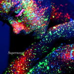 Alice Nine　CD+DVD 【Supernova】 初回限定盤 送料無料(日本国内) 2014/3/19発売 ○5人組ヴィジュアル系バンド、Alice Nine(アリス・ナイン)のデビュー10周年(2014年時)を飾るアルバム。シン...