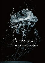 ALI PROJECT　DVD 【ALI PROJECT 2014 流行世界感染 TOUR】 10％OFF+送料無料(日本国内) 2014/12/10発売 ○独創的なメロディとアレンジ、文学的な歌詞で幅広い層のファンを魅了するALI PRO...