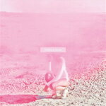 青山テルマ　CD 【SMOKE＆TEARS】 限定盤 送料無料（日本国内） 2016/4/27発売 ○女性目線で手掛けられた『PINK TEARS』（2016年）と、男性目線で手掛けられた『GRAY SMOKE』（2015年）を1枚で楽しめ...