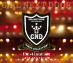 GIRL NEXT DOOR（ガール・ネクスト・ドア） 　CD＋DVD 【Destination】 LIVE VIDEO盤 送料無料 2011/3/16発売→4/27に変更になりました。 2nd ALBUMでオリコン1位を果たしたガルネクの...