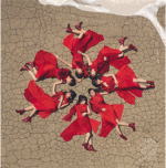 櫻坂46　CD+Blu-ray 【流れ弾】 初回仕様限定盤 Type-D 2021/10/13発売 ○咲け、櫻坂46。3rd Single発売決定！ ■初回仕様限定盤 ・応募特典シリアルナンバー封入 ・メンバー生写真（各Type別25種より...