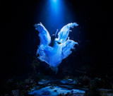 Aimer(エメ) 　CD 【誰か、海を。EP】 通常盤 2014/9/3発売 ○2014年5月にリリースされたシングル「StarRingChild」がオリコン初登場3位を記録し、続く6月にリリースされた2nd album「Midnight...