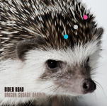 UNISON SQUARE GARDEN （ユニゾン スクエア ガーデン）　CD 【CIDER ROAD】 通常盤 送料無料 2013/2/6発売 ○アルバム先行シングルとして9月に発売された映画“劇場版 TIGER &amp; BUNNY...