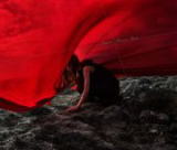 Aimer(エメ) 　CDのみ 【Brave Shine】 通常盤 2015/6/3発売 ○Aimer通算8枚目のシングル！Fateシリーズとのコラボレーション再び！ ○2nd album「Midnight Sun」、mini-album「...