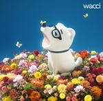 wacci(ワッチ）　 CDのみ 【キラメキ】 通常盤 2014/12/3発売 ○話題アニメ「四月は君の嘘」のエンディングテーマとなるwacciの4thシングル。青春の甘酸っぱさを軽快なリズムに乗せて贈るせつないラブソング。タイアップアニメ...