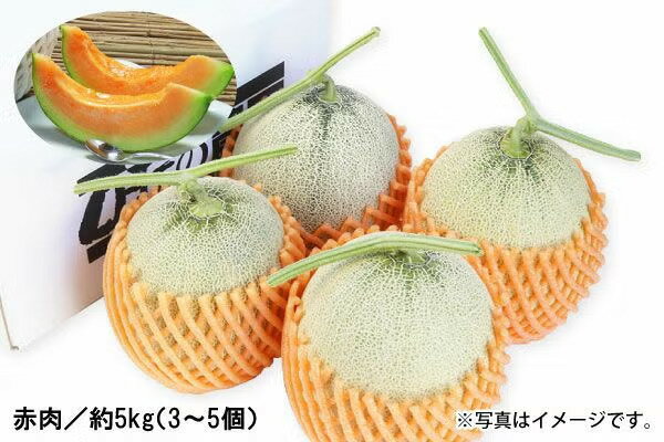 お届けは「7月上旬頃〜下旬頃」になります。（天候によりずれる場合があります。予めご了承の上、ご注文をお願いします。） 箱のデザインは写真と変わる場合がございます。ご了承ください。 内容量 赤肉 約5kg／3〜5個 L〜2Lサイズの混み玉にな...