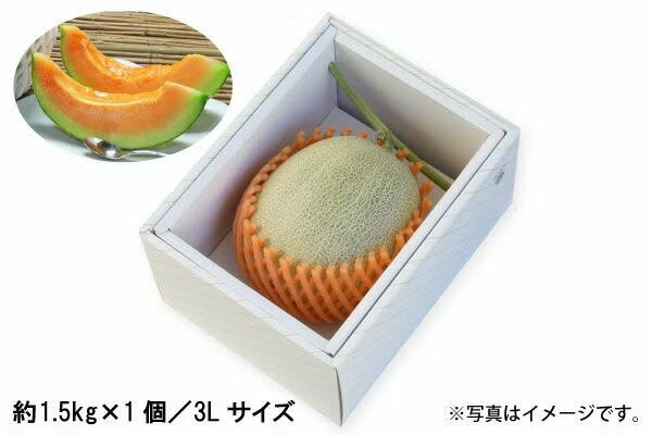 お届けは「7月上旬頃〜下旬頃」になります。（天候によりずれる場合があります。予めご了承の上、ご注文をお願いします。） 箱のデザインは写真と変わる場合がございます。ご了承ください。 内容量 約1.5kg×1個／3Lサイズ 産地 山形県庄内産 ...