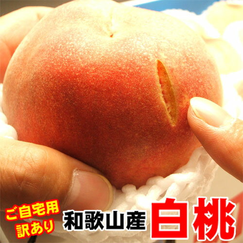 ●商品名　和歌山産【自宅用】白桃 ※変形果、枝傷、あたり傷、若干の傷みがある訳あり品です。 ●内容量　15玉前後　約3キロ前後 ※サイズ、玉数は指定できません。 ●品種　日川白鳳、八幡白桃、清水白桃など発送時期により変化します。 ※品種の指...