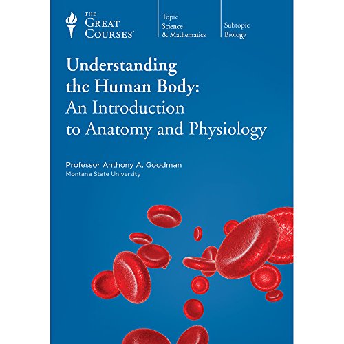 【中古】【未使用・未開封品】Understanding the Human Body: An Introduction to Anatomy and Physiology【メーカー名】【メーカー型番】【ブランド名】The Great Cou...