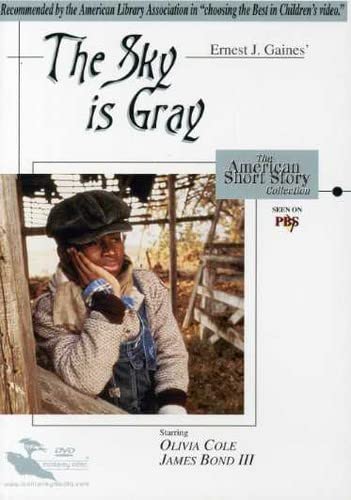 【中古】【未使用・未開封品】SKY IS GRAY【メーカー名】【メーカー型番】【ブランド名】MONTEREY VIDEO ジャンル別 【商品説明】SKY IS GRAY【注意】こちらは輸入品となります。当店では初期不良に限り、商品到着から...