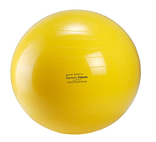 【中古】【未使用・未開封品】ギムニク(GYMNIC) 45【メーカー名】【メーカー型番】【ブランド名】ギムニク(GYMNIC) おもちゃ_2column, バランスボール, ながらエクササイズ, 室内トレーニングストア, パーツ別ボディシェ...