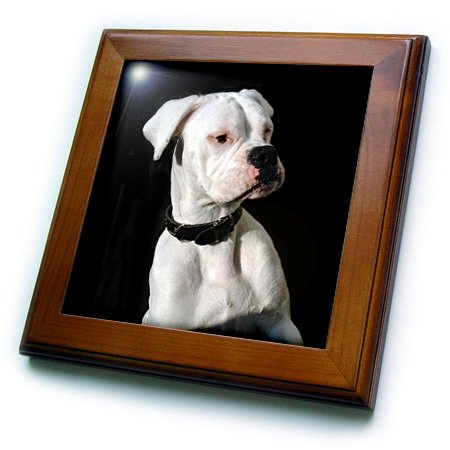 【中古】【未使用・未開封品】犬ボクサー???耳ホワイトボクサーUncropped???フレーム付きタイル 8x8 Framed Tile ft_1113_1【メーカー名】【メーカー型番】【ブランド名】3dRose 家具, インテリア, Ho...