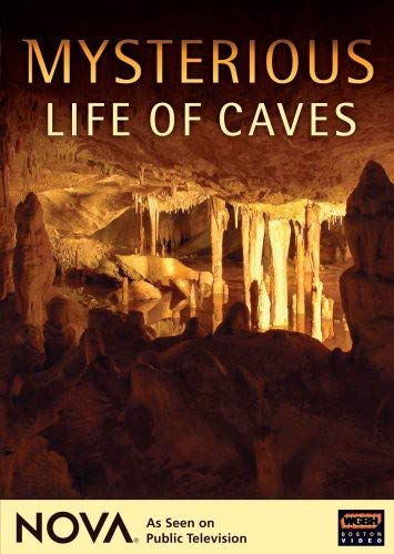 【中古】【未使用・未開封品】Nova: Mysterious Life of Caves [DVD] [Import]【メーカー名】【メーカー型番】【ブランド名】PBS ジャンル別 【商品説明】Nova: Mysterious Life o...