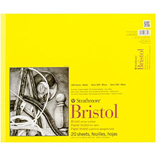 【中古】【未使用・未開封品】Strathmore Vellum Bristol Paper Pad 14"X17"-100lb 20 Sheets (並行輸入品)【メーカー名】【メーカー型番】【ブランド名】Pro-Art スケッチブック, ...