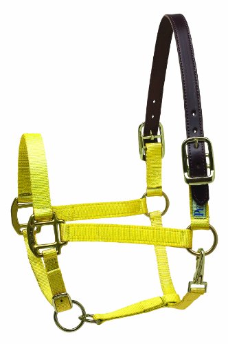【中古】【未使用・未開封品】(Horse, Yellow) - Perri's Premium Nylon Safety Halter【メーカー名】【メーカー型番】【ブランド名】Perri's 馬具アクセサリ, Sports - Amazo...