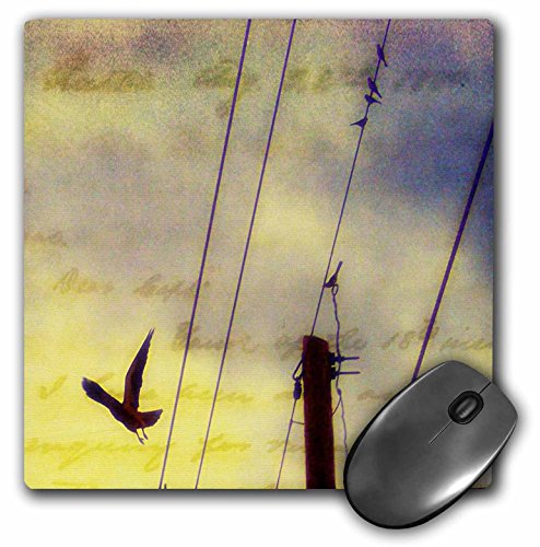 【中古】【未使用・未開封品】3drose LLC 8?x 8?x 0.25インチBird Flying off電源線マウスパッド(MP 6475?_ 1?)【メーカー名】【メーカー型番】【ブランド名】3dRose Office Produc...