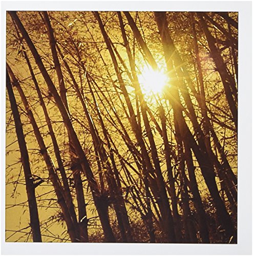 【中古】【未使用・未開封品】フローレンNature???Thru The Bamboo???グリーティングカード Set of 12 Greeting Cards【メーカー名】【メーカー型番】【ブランド名】3dRose グリーティングカード...