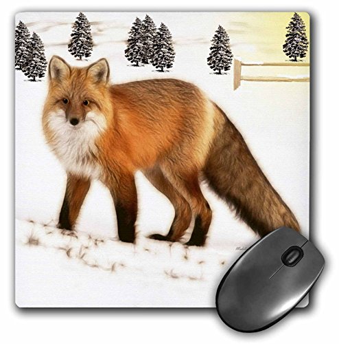 【中古】【未使用・未開封品】3drose LLC 8?x 8?x 0.25インチマウスパッド、Fractaliusレッドフォックス( MP _ 18454?_ 1?)【メーカー名】【メーカー型番】【ブランド名】3dRose Office P...
