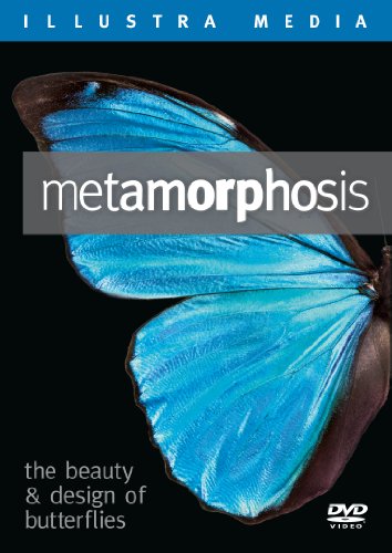 【中古】【未使用・未開封品】Metamorphosis: The Beauty and Design of Butterflies【メーカー名】【メーカー型番】【ブランド名】Illustra Media ジャンル別 【商品説明】Metamo...
