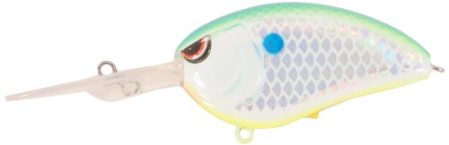 【中古】【未使用・未開封品】(Citrus Shad) - Spro Little John Baby Deep Diving Crank Bait-Pack of 1, Citrus Shad【メーカー名】【メーカー型番】【ブランド名】S...