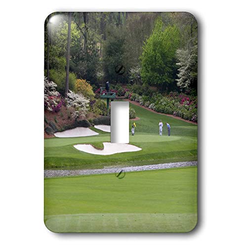 【中古】【未使用・未開封品】3dRose lsp_48684_1 Augustas Amen コーナーゴルフコース トグルスイッチ【メーカー名】【メーカー型番】【ブランド名】3dRose 電設, DIY & Garden - AmazonG...