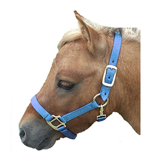 【中古】【未使用・未開封品】Intrepid International ナイロンミニチュアホースホルター ライトブルー Lサイズ【メーカー名】【メーカー型番】【ブランド名】Intrepid International 馬具アクセサリ, S...