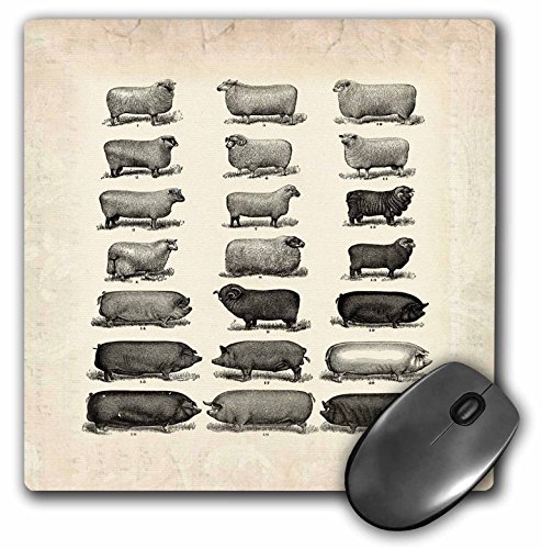 【中古】【未使用・未開封品】3dRose LLC 8 x 8 x 0.25インチ マウスパッド ヴィンテージ豚と羊 (mp_80428_1)【メーカー名】【メーカー型番】【ブランド名】3dRose Office Products?- Ama...