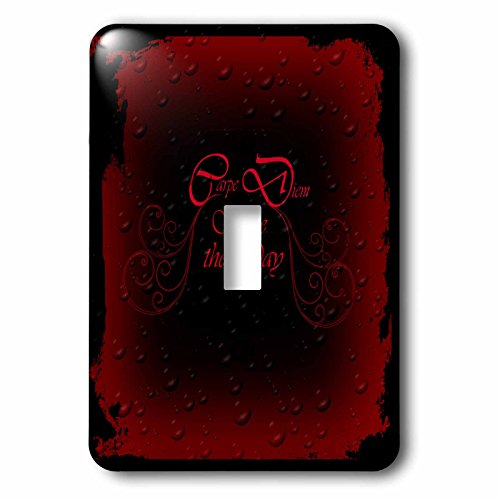 【中古】【未使用・未開封品】3drose LSP _ 165372?_ 1?A Gothデザインwith Carpe Diem Written in Fancy Letter inレッドライトスイッチカバー【メーカー名】【メーカー型番】【ブ...