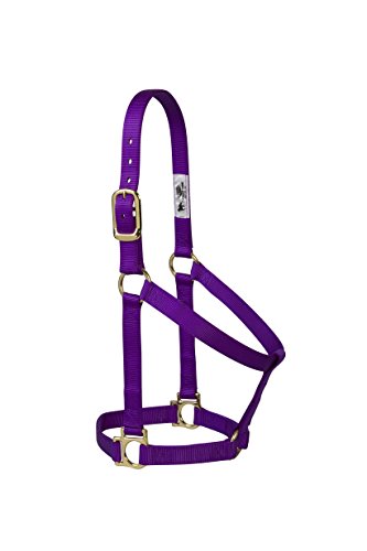 【中古】【未使用・未開封品】(Average Horse, Purple) - Weaver Leather 35-7404-TU Basic Non-Adjustable Halter, 2.5cm Small Horse, Turquo...