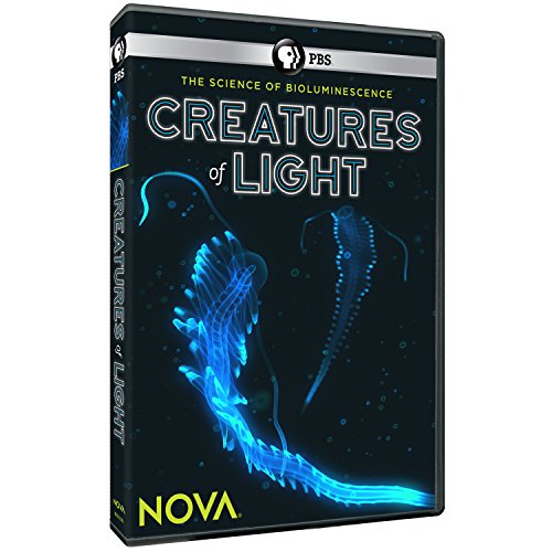 【中古】【未使用・未開封品】Nova: Creatures of Light [DVD] [Import]【メーカー名】【メーカー型番】【ブランド名】PBS ホビー・実用, Custom Stores, 1637 【商品説明】Nova: C...