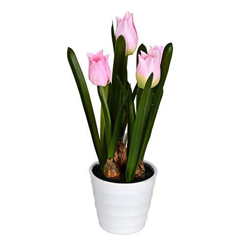 【中古】【未使用・未開封品】Vickerman チューリップアレンジメント 日常用 花柄 10インチ ピンク【メーカー名】【メーカー型番】【ブランド名】Vickerman クリスマス雑貨 【商品説明】Vickerman チューリップアレンジ...