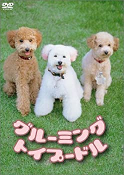 【中古】グルーミング・トイプードル [DVD]【メーカー名】エイベックス・ピクチャーズ【メーカー型番】【ブランド名】Adjust【商品説明】グルーミング・トイプードル [DVD]付属品については商品タイトルに付属品についての記載がない場合が...