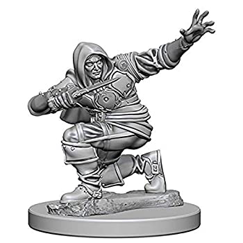 【中古】Pathfinder: Deep Cuts Unpainted Miniatures: Human Male Rogue【メーカー名】Wizkids【メーカー型番】WK72602【ブランド名】WizKids【商品説明】Pathfin...