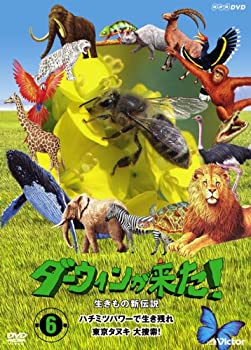 【中古】名作の風景-新美南吉/中島敦 -絵で読む珠玉の日本文学(5)- [DVD]【メーカー名】【メーカー型番】【ブランド名】スバック アニメ, ホビー・実用 【商品説明】名作の風景-新美南吉/中島敦 -絵で読む珠玉の日本文学(5)- [D...