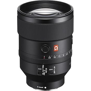 【中古】Sony FE 135mm F1.8 G マスター望遠プライムレンズ Sony Eマウント用【メーカー名】【メーカー型番】【ブランド名】SONY(ソニー) 一眼レフカメラレンズ SONY: Designer【商品説明】Sony FE...
