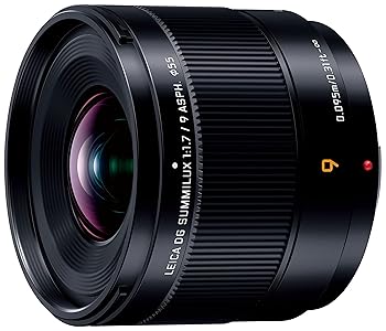 【中古】パナソニック(Panasonic) Panasonic 広角 単焦点 LUMIX カメラレンズ 交換可能レンズ デジタル一眼カメラ用 H-X09【メーカー名】【メーカー型番】【ブランド名】パナソニック(Panasonic) ミラーレ...