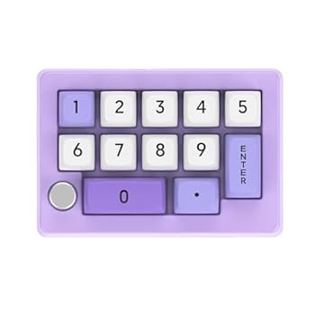 【中古】テンキーボード 有線 ゲーミングメカニカルキーボード RGB対応 マルチモード ホットスワップ軸 マクロプログラミング可能 テンキー＆Type-C接続 ゲーム/オフィス両用 パープル【メーカー名】【メーカー型番】【ブランド名】HIS...