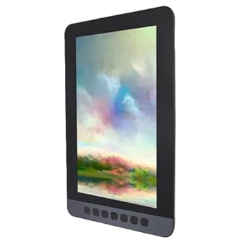 【中古】デジタル描画タブレット、11.6インチスクリーングラフィックタブレット、8192レベル圧力感度と傾斜機能、6つのホットキー、 PC用の6つのホットキー、100％SRGBカラー範囲で、描画、デザイン、メモを取るのに適しています【メーカ...
