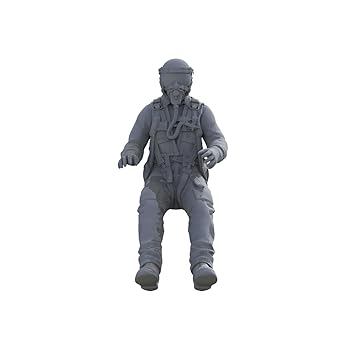 【中古】MRY-SFW SSPR35200A 1/35 F 4 F 14航空機を搭載した現代アメリカのパイロット【メーカー名】【メーカー型番】【ブランド名】MRY-SFW 飛行機・ヘリコプター, おもちゃ ストア 【商品説明】MRY-SFW...